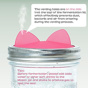 Wingcases Fermentation Lids Silicone Waterless Airlock, Suitable for Wide Mouth Mason Jars - For Making Pickled and Fermented Probiotic Foods, 4 Pack, Morandi Colors