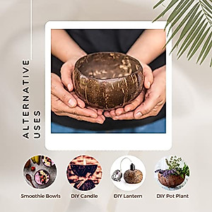 Coconut Bowl with Natural Wooden Spoons (Set of 4), Includes Disposable Drinking Straws - Vegan Organic. Plus BONUS Recipe