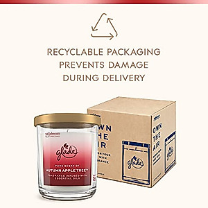 Glade Candle Jar, Large Candle Infused with Essential Oils, Air Freshener for Home Decor, Autumn Apple Tree, 16oz