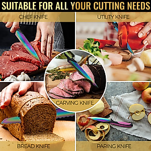 Napperband 6 Piece Color Coded Kitchen Knife Set Block with Clear Acrylic Stand - Titanium Coated Stainless Steel