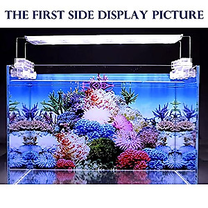 ELEBOX Fish Tank Stickers Wallpaper Seaweed Background Aquarium Background Decoration Water Plants Fish Tank Background 15.7"x 40"