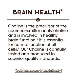 Nature's Way Choline, 500 mg, 100 Tablets, Pack of 2