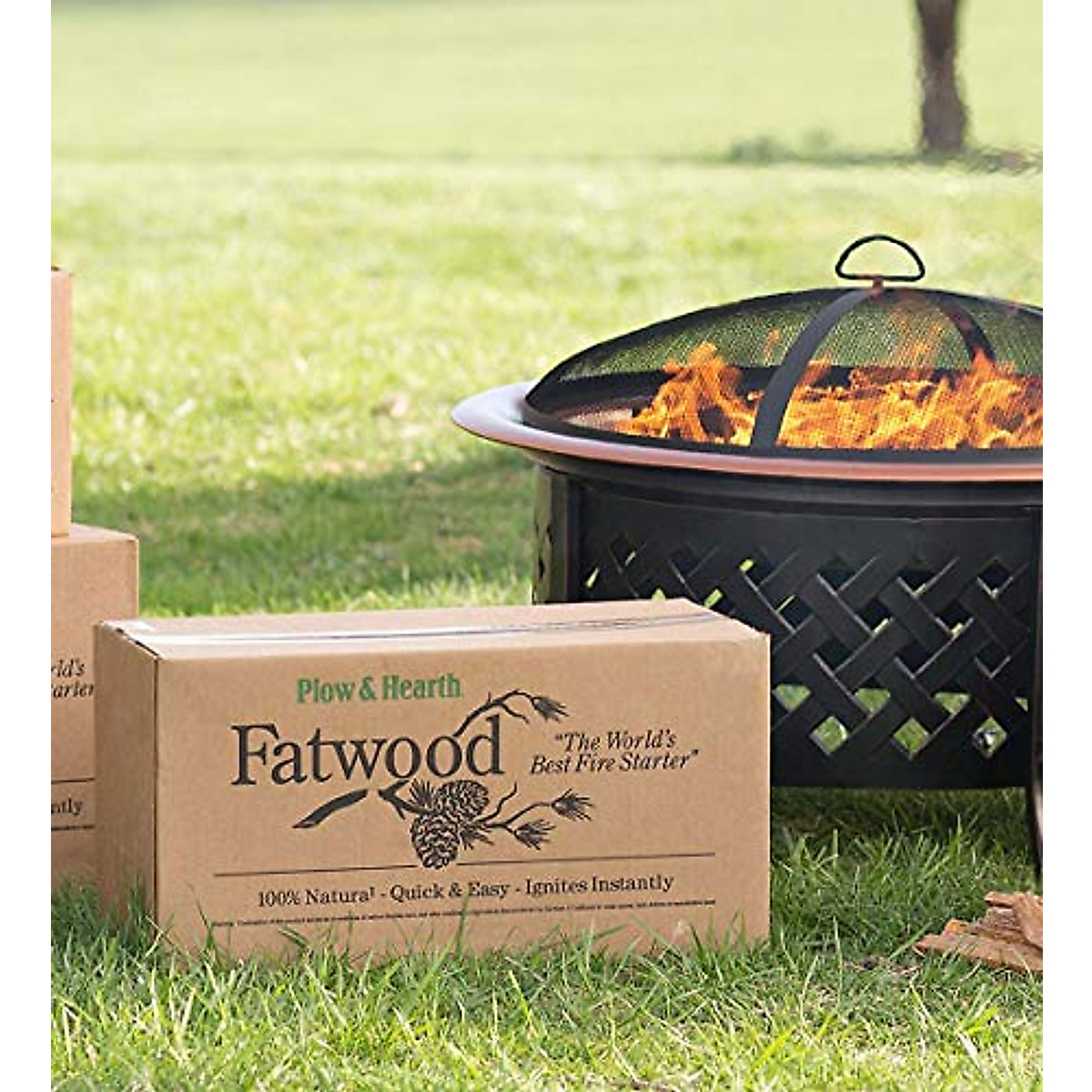 Plow & Hearth Boxed Fatwood Fire Starter All Natural Organic Resin Rich Eco Friendly Kindling Sticks for Wood Stoves Fireplaces Campfires Fire Pits Burns Quickly and Easily Safe Non Toxic (40 LB)