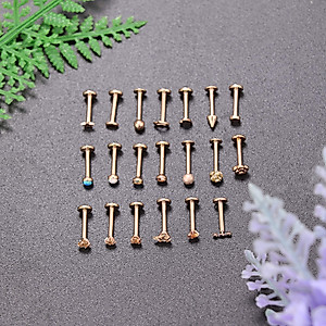 Subiceto 16G Stainless Steel Forward Helix Monroe Labret Lip Nose Studs for Men Women Tragus Cartilage Stud Earrings Cz Balls Heart Flower Medusa Piercings 20 Pcs