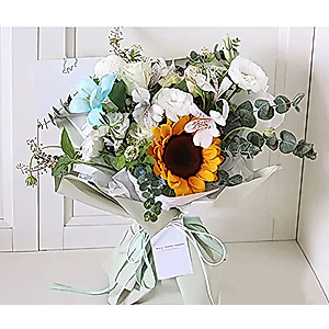 KIMHOME Korean Retro Packaging Waterproof Flower Wrapping Paper Gift Wrapping Flower Shop Bouquet Supplies Roll 23.6 Inch x 32.8 ft (Nude)