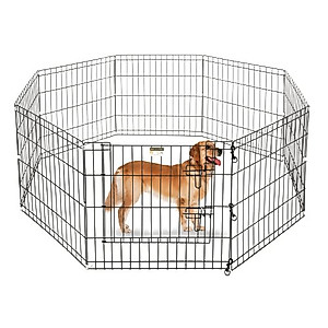 Pet Trex 24" Exercise Playpen for Dogs Eight 24" x 24" High Panels with Gate