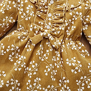 Newborn Baby Girl Fall Winter Corduroy Dress Ruffle Long Sleeve Floral Dresses Infant Flower Clothes (Brown, 0-3 Months)