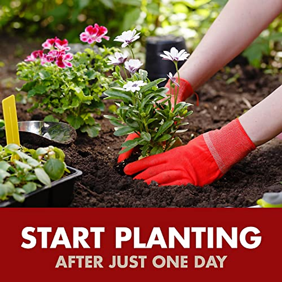 Spectracide Weed And Grass Foaming Edger 17 Ounces, Aerosol, For Edging Along Yards - pack of 12