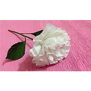 Premium White Gift Tissue Paper 20 X 20 100 Sheet 2 Pack (200 Sheets Total)