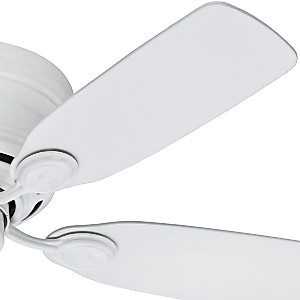 Hunter Fan Company 51059 Indoor Low Profile IV Ceiling Fan with Pull Chain Control, 42", White Finish