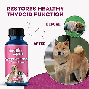 Weight & Thyroid Support for Dogs and Cats - Natural Solution for Hunger Control, Metabolism Support & Optimal Thyroid Function - Effective Dog & Cat Weight Loss - 400 Odorless, Tasteless Pills