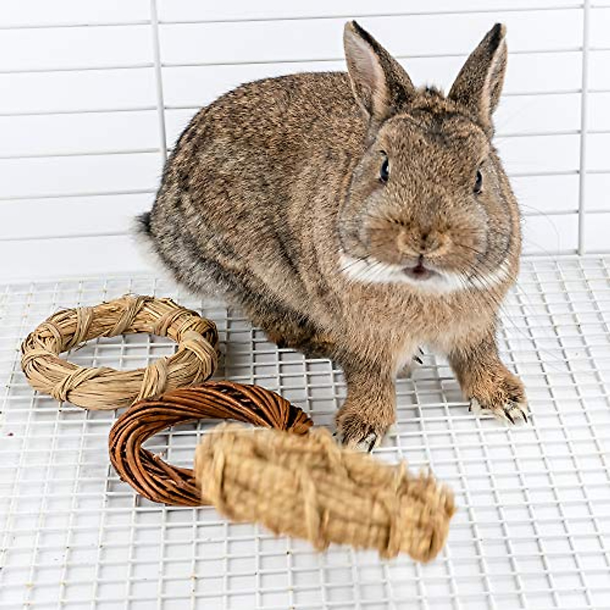 Niteangel 3-Pack of Natural Chew Ring for Small Animals