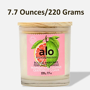 Fruits & Passion Cucina Coriander and Olive Tree Perfumed Plant Based Wax Candle 7.7 Ounces