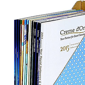 Fellowes Bankers Box Style Magazine File - Blue/White, Pack of 10