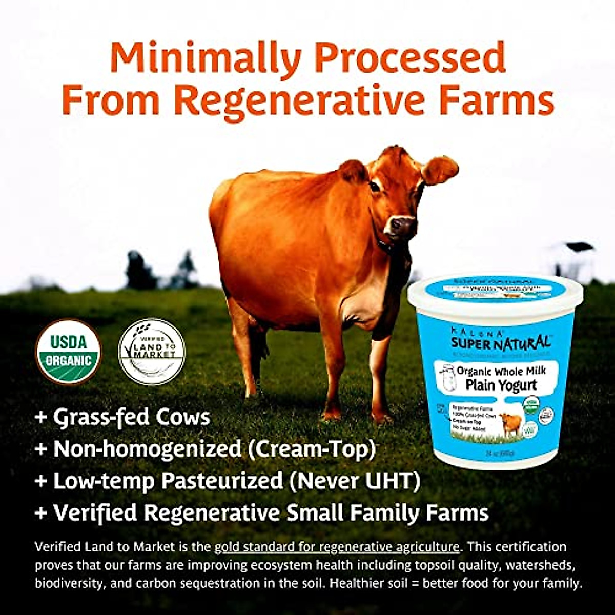 Kalona SuperNatural Organic Whole Milk Plain Yogurt, 24 Ounce