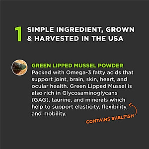 Super Snouts Joint Power 100% Green Lipped Mussels for Dogs & Cats - Dog Joint Supplement Powder Supports Joints, Tendons, Ligaments (2.64 oz)