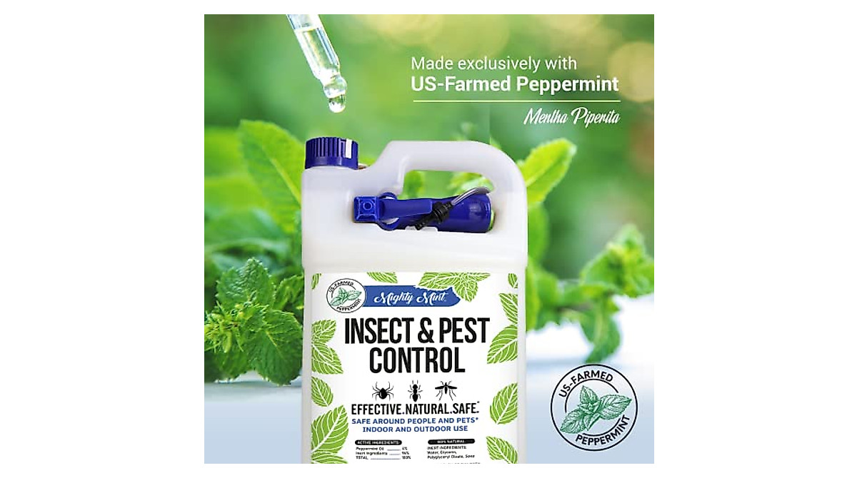 Natural Pest Control with Mighty Mint Gallon Peppermint Oil