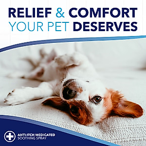 TropiClean Oxymed Medicated Cat & Dog Itch Relief Spray | Gentle Skin Soother for Dogs & Cats | 8 oz