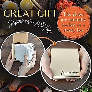 LOVE LOVE JAPAN Dessert Sushi Soy Sauce Salad Small Plate Set Ceramic Cats Design Set of 5 Made In Japan Sleeping Cat