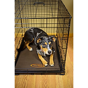 Mud River Dog Crate Cushion, Nylon, X-Large/Jumbo/32 x 22", Brown