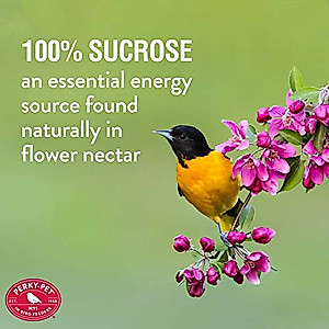 Perky-Pet 4801 Oriole Nectar Concentrate, 32-Ounce