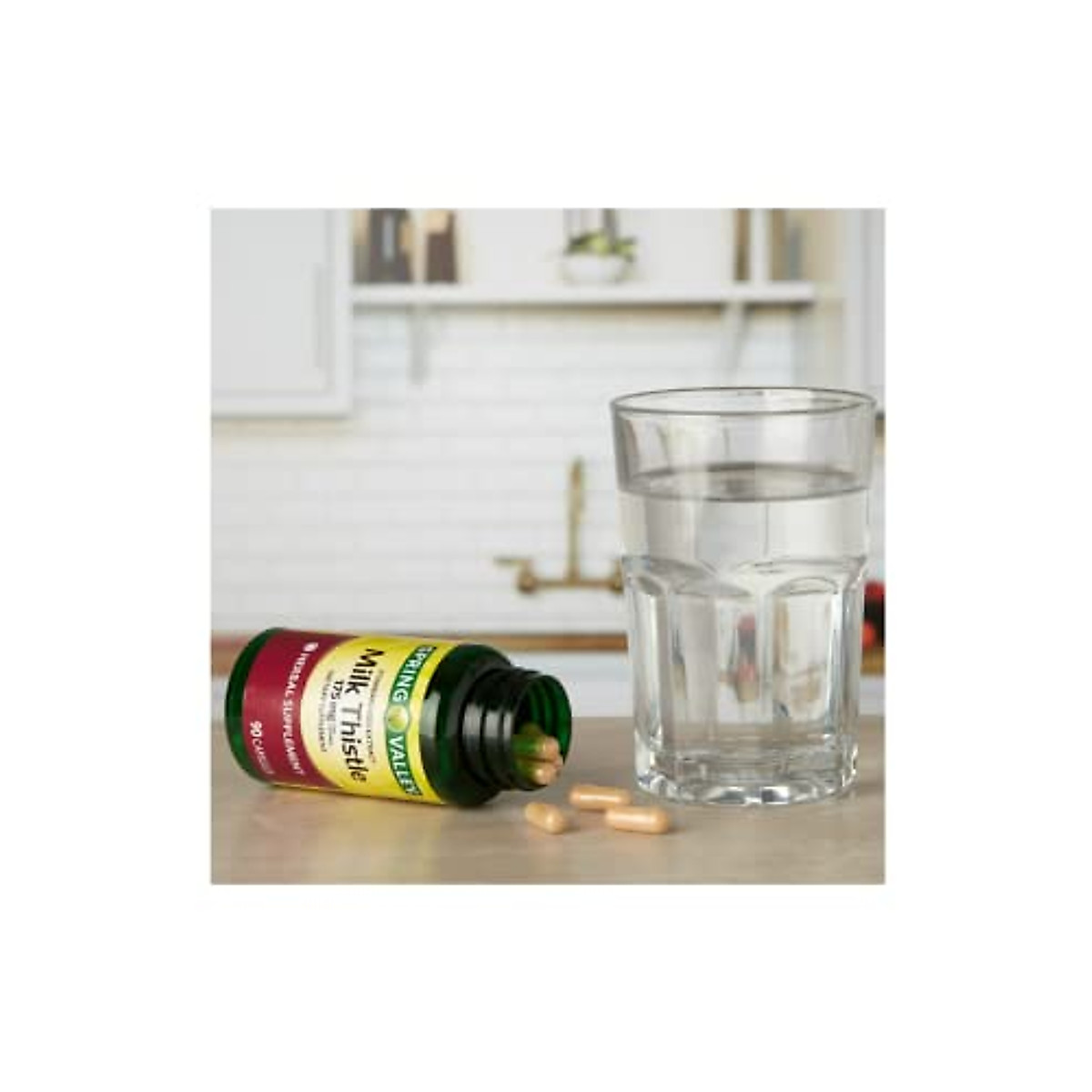 Spring Valley Standardized Extract Milk Thistle 175 mg, 90 Count + STS Fridge Magnet.