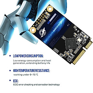 Dogfish mSATA SSD 256GB 3D NAND TLC SATA III 6 Gb/s, mSATA (30x50.9mm) Internal Solid State Drive - Compatible with Desktop PC Laptop - (MSATA 256GB)