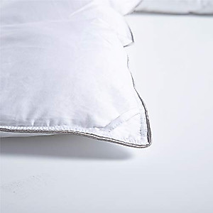 Duvet Insert Queen Size-100% Cotton Comforter Down Alternative White-Quilted Lightweight Duvet Insert Thin Soft Breathable with Silver Trim and 8 Tabs