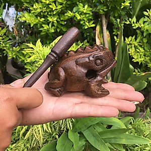Cozinest Wooden Percussion Frog, Cricket and Owl Set 3 Musical Instrument Products From Thailand Home Office Decoration Nice Gift (Small)