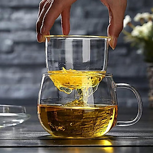 Aurfedes 14oz Tea cup with steeper and lid, heat-resistant borosilicate glass clear tea cup for loose leaf tea, blooming tea and tea bags - ideal for tea lovers (1PCS)