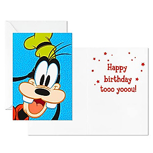 Hallmark Birthday Card Assortment (Kids Disney 12 Cards with Envelopes), 5STZ5015