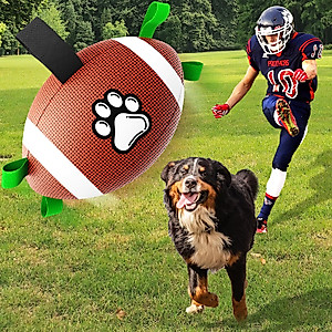 QDAN Dog Toys Football, Interactive Dog Toys for Tug of War,Superbowl Football Party Decorations Favor, Dog Water Toy, Durable Dog Balls for Small & Medium Dogs(8 inch)