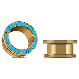 COOEAR Screw Back Ear Gauges Stainless Steel Tunnels Piercing Stone Mosaic Plugs Size 0g to 1".