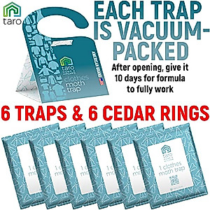 Clothes Moth Traps with Pheromones and Free Cedar Blocks Moth Repellent - Moth Traps for Clothes - Clothing Moth Traps with Pheromones - Closet Moth Traps for House - How to Get Rid of Moths in House