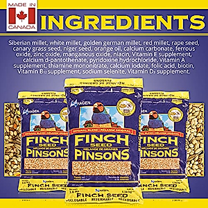 Hagen Finch Staple Vme Seed, 3-Pound