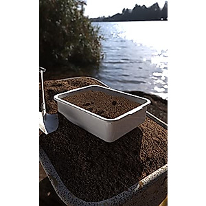 5-Pack Commercial Bus Tubs Box/Tote Box, White Plastic Storage Bin with Handles/Wash Basin Tub (8 Liter)