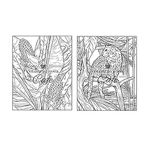 100 Wildlife Scenes: An Adult Coloring Book Featuring 100 Most Beautiful Wildlife Scenes with Animals, Birds and Flowers from Oceans, Jungles, Forests and Savannas