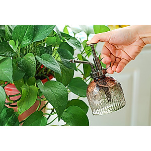 Glass Plant Mister Spray Bottle, 6.3inch Tall Vintage Plant Spritzer Watering Can, Succulent Watering Bottle with Top Pump, Plant Mister Glass Watering Garden Tool (Brown Clear Gradient)