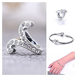 12 Zodiac Signs Birthday Constellations 925 Sterling Silver Charm Bead fits Pandora Bracelets & Necklaces & More (Pisces)