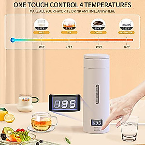 Haspsso Small Electric Kettle for Travel, Portable Tea Hot Water Boiler, Mini Coffee Water Kettle 100% 304 Stainless Steel with 4 Temperature Control, Auto Shut-Off & Boil Dry Protection