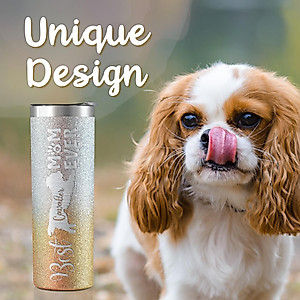 Onebttl King Charles Cavalier Gifts for Women, Unique 20oz Cavalier Tumbler with Lid and Straw, Cavalier King Charles Spaniel Gifts for Cavalier Lovers - Silver Gold
