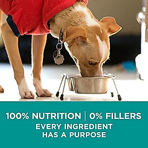 Purina ONE Dog Digestive Support, Natural Dry Dog Food, +Plus Digestive Health Formula - 31.1 lb. Bag