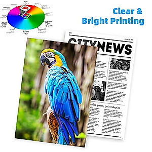 FLYINK 18 Pack LC103 Compatible Ink Cartridge Replacement for Brother LC103 LC101 103 101 Work with MFC-J870DW MFC-J450DW MFC-J6920DW MFC-J470DW MFC-J6520DW Printers