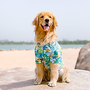 Harikaji Dog Hawaiian Shirt, Summer Pet Clothes Large Dog Cool Costume Beach T-Shirt for Medium Large Dog(Blue,5XL)