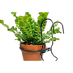 6 Pieces, 6 inches Iron hanging Flower Pot. Metal Plant Wall Hanger, Vertical Garden. Planter Hook Ring, Rail Metal Fence. Indoor and Outdoor. Yard Garden. Wire Trellis. Collapsible Bracket.