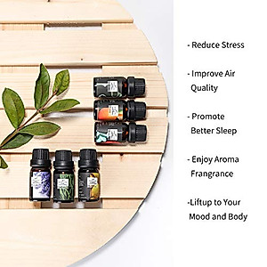 ap airpleasure Water-Based Purifier Air Washer, Revitalizer with 6 Colorful lights- Plus Lavender, Orange, Citronella,Lemon, Breathe Easy, Jasmine & Camellia, 10ml Each