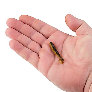 Berkley Powerbait Power Swimmer Fishing Soft Bait, Sun Gill, 2"