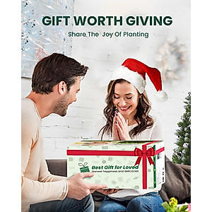 RAINPOINT Indoor Hydroponics Growing System,13 Pods Hydroponic Garden Planter, Vegetable Growing System Kit, Kitchen Christmas Gifts for Women, Hydro Garden Herb Grower