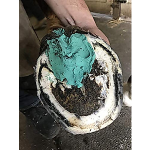 Therazure Horse Hoof Thrush Treatment Clay and White Line Equine Care: Effective on Horses, Cows, Goats, Sheep, Pigs and All Hooved Animals- 20 oz Jar