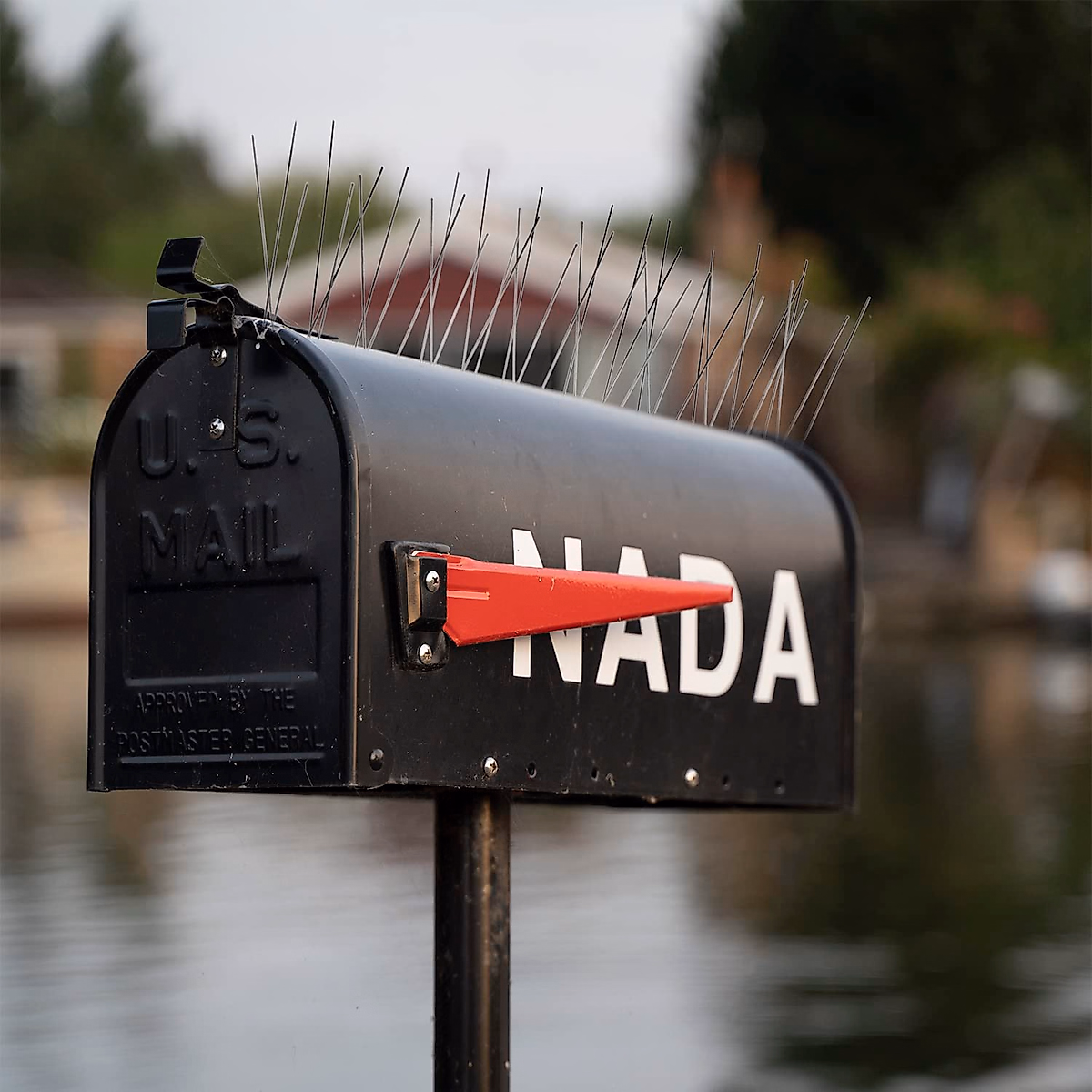 C CRYSTAL LEMON Bird Spikes – Stainless Steel Strips for Bird Deterring – Heavy-Duty Bird Spikes for Outside – Designed for Pigeons, Small Birds, Crows, Woodpeckers, Squirrels – 3 Bases (3.25ft)